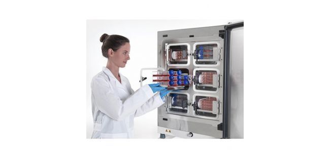 Forma CO2 Incubator | Steri-Cycle i160 | Met Cell Lockers | Poly Temp ...